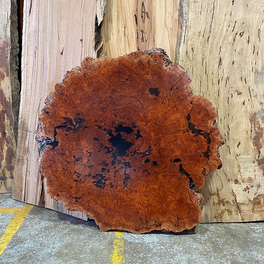 Burl Slab in River Red Gum (Nt_12_burl)